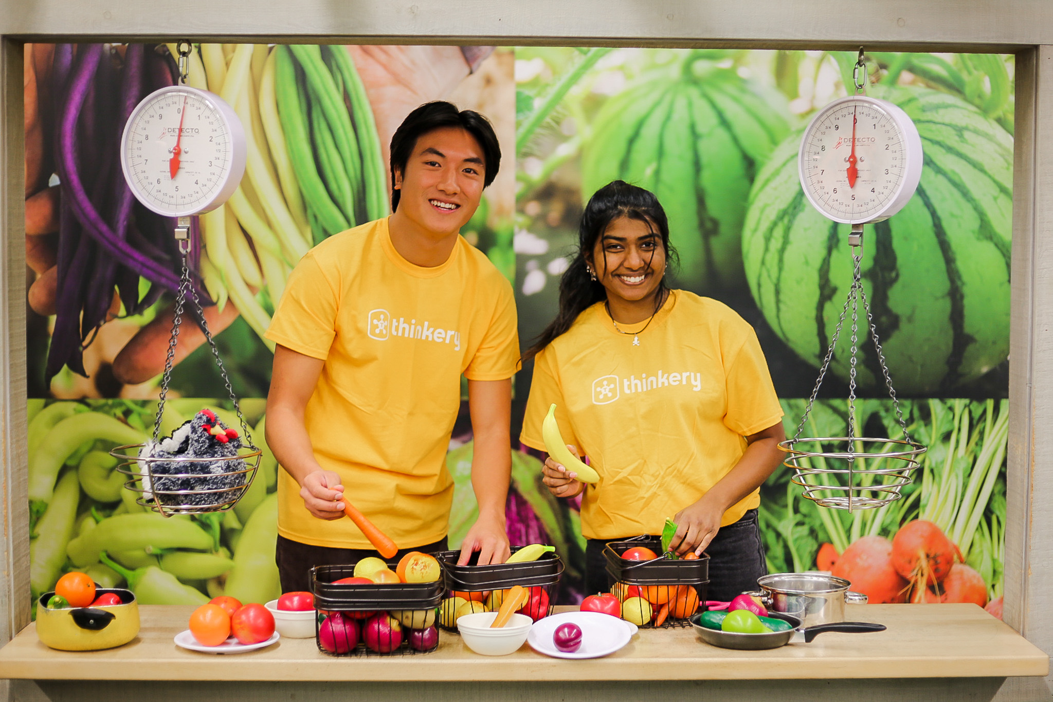 Individual - Thinkery